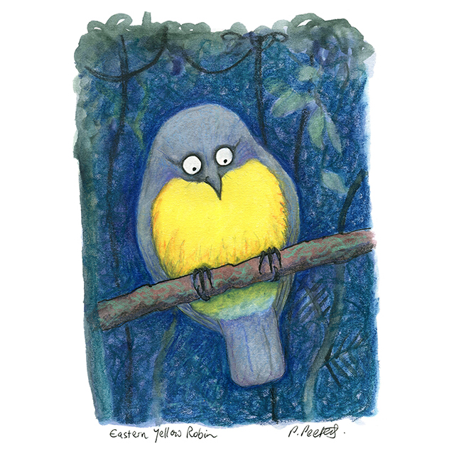 Eastern Yellow Robin – Print | Paperbark Writer