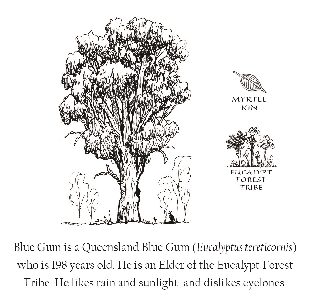 “This is my favourite book” | Paperbark Writer